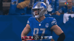 Go Lions Football Team GIF | GIFDB.com