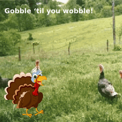 Gobble Gobble Til You Wobble GIF | GIFDB.com