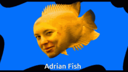 Gold Fish With Face Swimming GIF | GIFDB.com