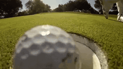 Golf Ball In The Hole GIF | GIFDB.com