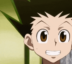 Gon Beating Up Neferpitou In Hunter X Hunter GIF | GIFDB.com
