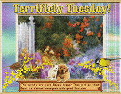 Good Afternoon Happy Tuesday Little Yellow Bird GIF | GIFDB.com