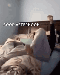 Good Afternoon Just Waking Up GIF | GIFDB.com