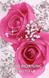 Good Morning Beautiful Pink Roses GIF | GIFDB.com
