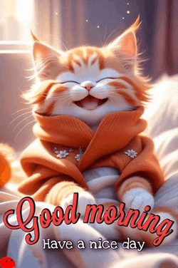 Good Morning Cat Meme GIF | GIFDB.com