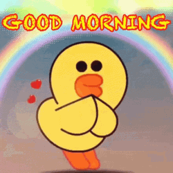 Good Morning Cute Excited Bear GIF | GIFDB.com