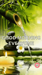 Good Morning Everyone Zen GIF | GIFDB.com