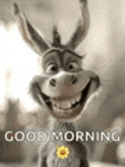 Good Morning Funny GIFs | GIFDB.com