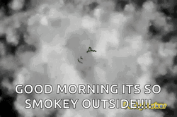 Good Morning Its So Smokey Outside By Homer GIF | GIFDB.com