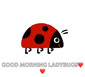 Good Morning Lady Bug GIF | GIFDB.com