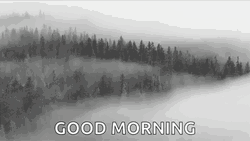 Good Morning Mountain Fog GIF | GIFDB.com