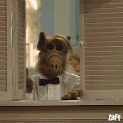Good Morning Sir Alf Tv Series GIF | GIFDB.com