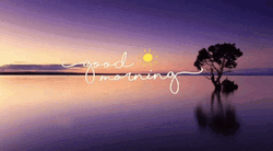 Good Morning View Calming GIF | GIFDB.com