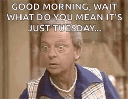 Good Morning Tuesday Goat GIF | GIFDB.com