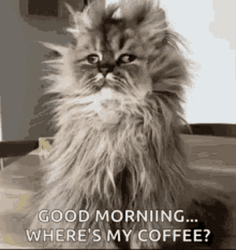Good Morning Where's My Coffee GIF | GIFDB.com