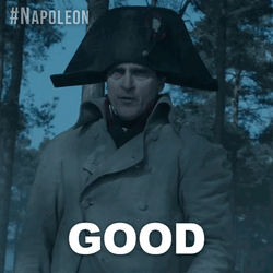 Good Napoleon Meme GIF | GIFDB.com