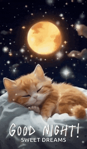 Good Night Images New 2023 Cute Cat Gif GIF | GIFDB.com