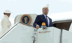 Goodbye Trump Official GIF | GIFDB.com