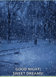 Goodnight And Sweet Dreams Snowfall GIF | GIFDB.com