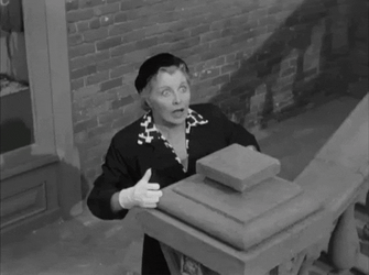 Goofy Ahh Vintage Scared Woman Screaming Meme GIF | GIFDB.com