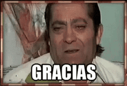 Gracias Meme 498 X 337 Gif GIF | GIFDB.com