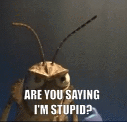Grasshopper Do I Look Stupid To You GIF | GIFDB.com