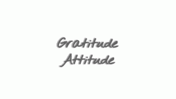 Gratitude And Attitude GIF | GIFDB.com