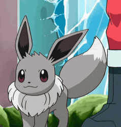 Gray Eevee Smiles Evolutions GIF | GIFDB.com
