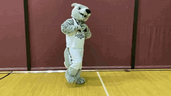 Gray Wolf Mascot Spirit Fingers GIF | GIFDB.com