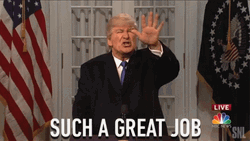 Great Job Meme Alec Baldwin GIF | GIFDB.com