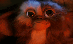 Gremlins Gizmo Beautiful Eyes GIF | GIFDB.com
