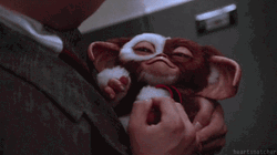 Gremlins Gizmo Sad Crying GIF | GIFDB.com