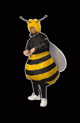 Groni Bee Dancing GIF | GIFDB.com