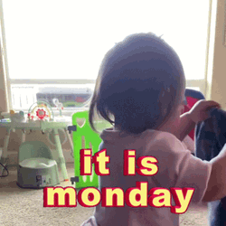 Grumpy Little Girl Eyebrows Meet Funny Monday Meme GIF | GIFDB.com