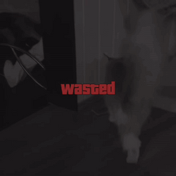 Gta Wasted Cat Falling Down GIF | GIFDB.com