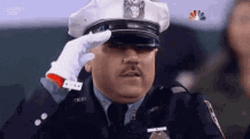 Guard Salute Meme GIF | GIFDB.com