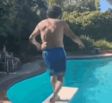 Guy Doing A Diving Board Flip Fail GIF | GIFDB.com