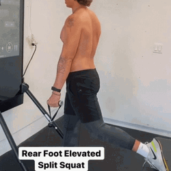 Guy Rear Foot Elevate Single Leg Deadlift GIF | GIFDB.com
