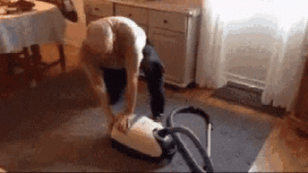 Vacuum GIFs - Download & Share | GIFDB.com