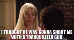 Gwyneth Paltrow Shoot Me GIF | GIFDB.com