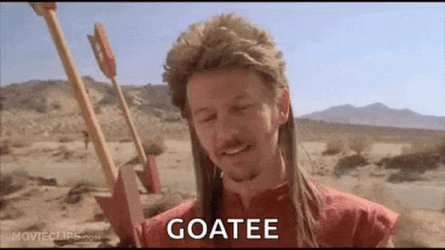 Joe Dirt Gif File 1337kb GIF | GIFDB.com