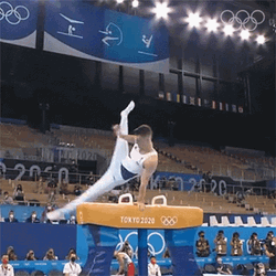Gymnastics Flair Max Whitlock GIF | GIFDB.com