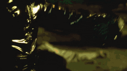 Hacker Im In Trinity Matrix Reloaded GIF | GIFDB.com