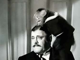 Hair Pull Toupee Bald GIF | GIFDB.com