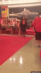 Hallelujer Woman Dancing GIF | GIFDB.com