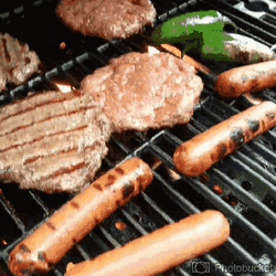 Hamburger Hotdogs Grilling GIF | GIFDB.com