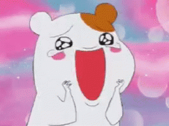Hampter Meme Excited Hamtaro GIF | GIFDB.com