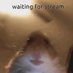 Hamster Anxiously Waiting For Stream GIF | GIFDB.com