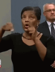 Hand Signing Language Gestures GIF | GIFDB.com