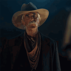 Hands Up Woah Cowboy GIF | GIFDB.com